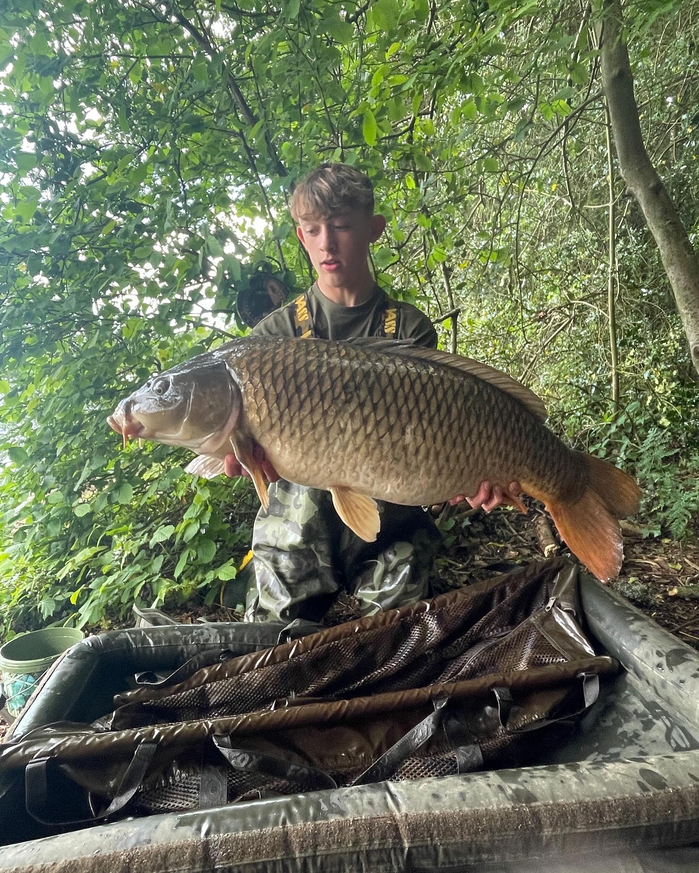 Big ressie common | Total Carp